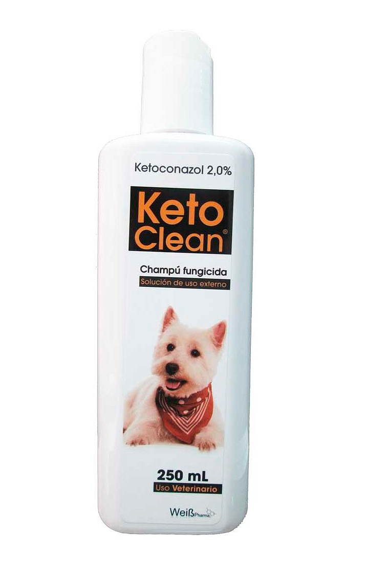 KETO CLEAN SHAMPOO FUNGICIDA X 250ML – Petcol